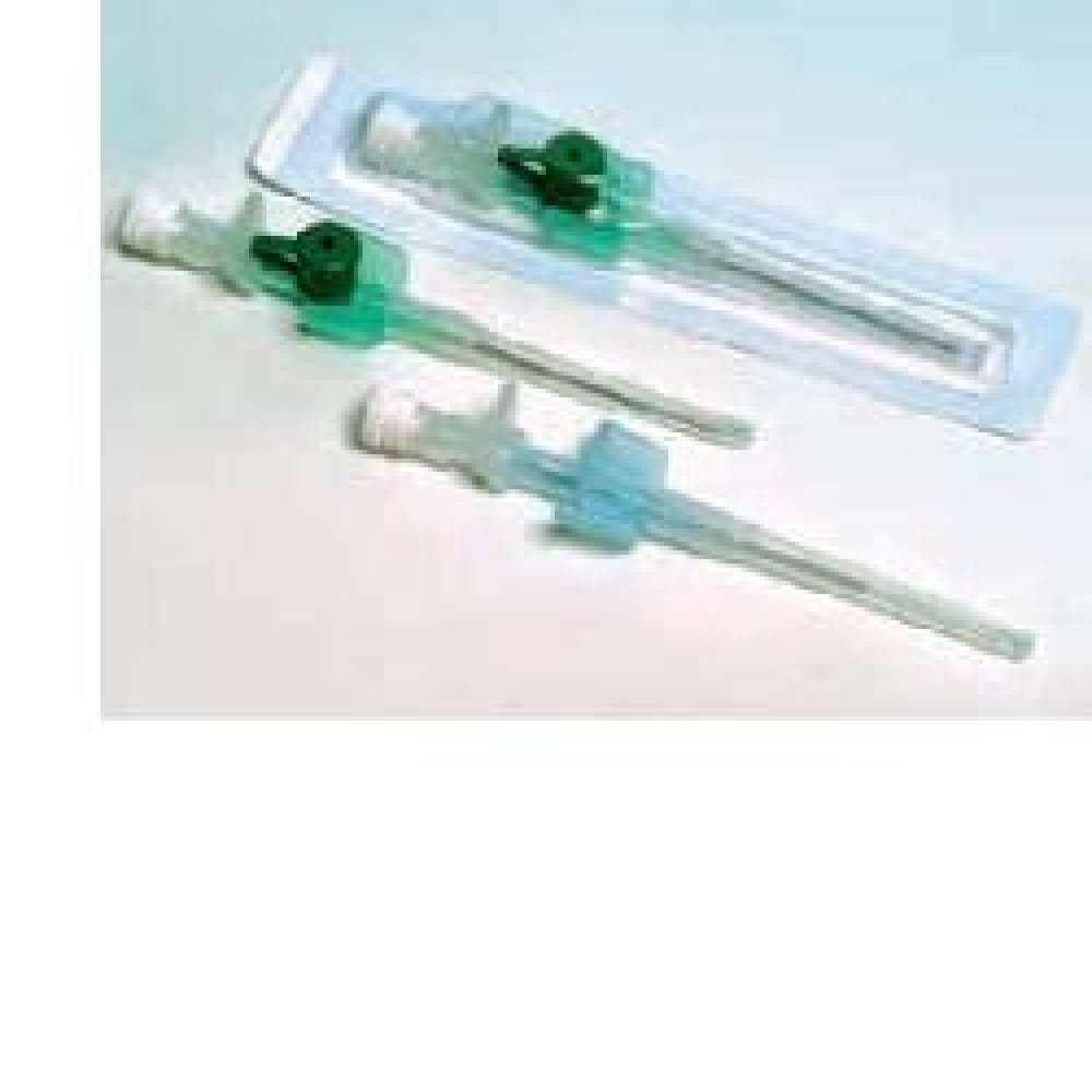 Ago cannula gauge 22 1 via anallergico con valvola: Acquista con ...